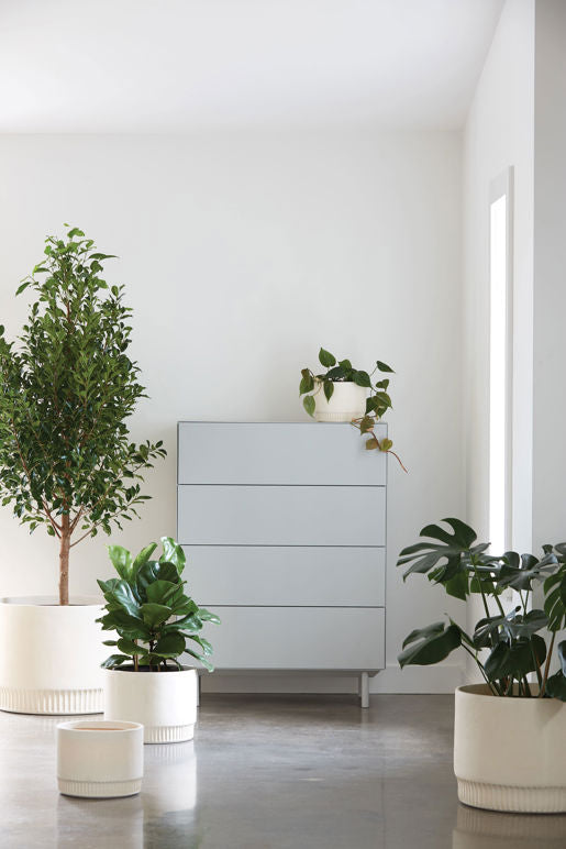 Harvest Planter | CITTA | Niche Homestore | Shop Online | NZ